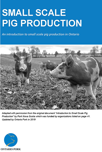 Small Scale Pig Farming in Ontario | Guide | Ontario Pork
